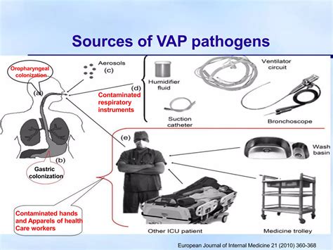 Ventilator Associated Infections Vap Ppt Lung And Respiratory Health Diseases And Conditions