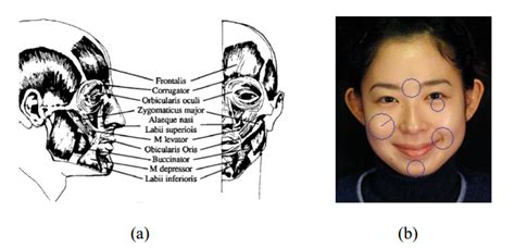 Algorithm Clones Facial Expressionsand Pastes Them Onto Other Faces