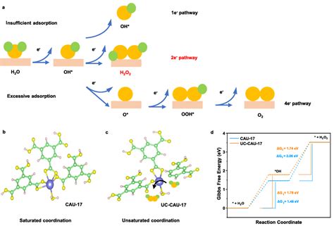 浙江大学，最新nature子刊！ 华算科技