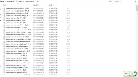 asp core教程：asp core 程序部署到windows系统 检查电脑net core 是否安装成功 csdn博客