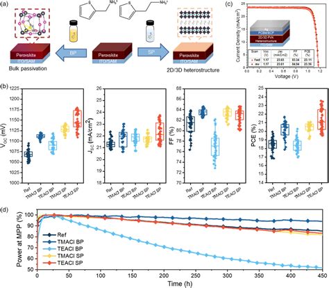 Unraveling Bulk Versus Surface Passivation Effects In Highly Efficient P I N Perovskite Solar