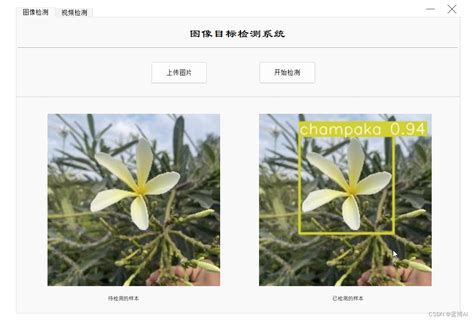 基于yolov8的花卉检测系统，系统既支持图像检测，也支持视频和摄像实时检测（pytorch框架）【python源码ui界面功能源码详解】yolov8实时监测 Csdn博客