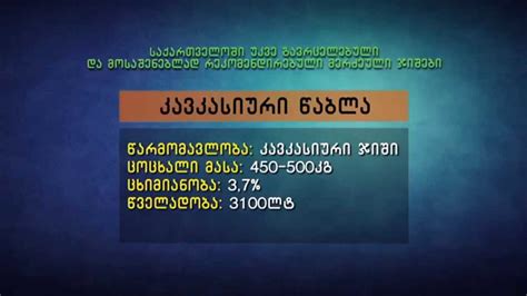 აგრო რჩევები მესაქონლეობის გაზრდილი სარგებელი Youtube