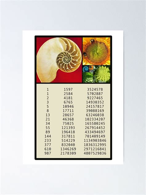 The Fibbonacci Sequence And The Golden Ratio Poster By Lovejoypeace
