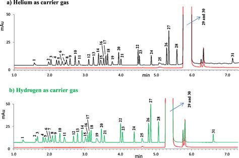 Gas Chromatography Flame Ionization Detection Method At Joel Lennon Blog