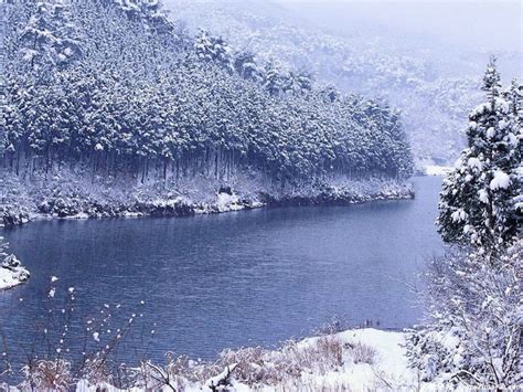 壁纸800600银色的世界冰天雪地 壁纸34壁纸 银色的世界冰天雪地壁纸图片 风景壁纸 风景图片素材 桌面壁纸