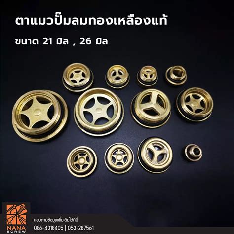 ตาแมวปั๊มลมทองเหลืองแท้ อะไหล่ปั๊มลม ตาแมวดูน้ำมัน ตาดูระดับน้ำมัน ขนาดเกลียว 21 มิล 26 มิล