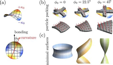 Assembly Geomety And The Role Of φ0 Are Illustrated In A The Local