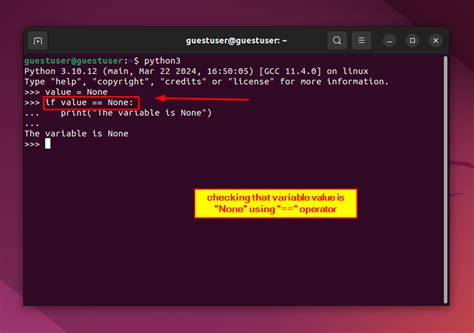 How To Check The None Value In Python 4 Best Ways