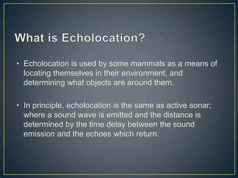 Physics And Echolocation Pptx Physics And Echolocation Pptx