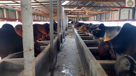 নতুন উদ্যোক্তাদের জন্য সেড নির্মাণের ড্রয়িং আর্ট করলাম🤔 Youtube