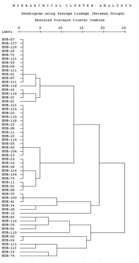 dendrogram of streptococcus species on the basis of rapd similarity