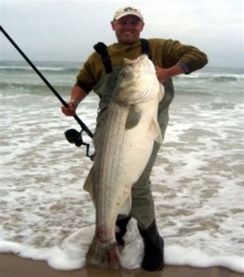 Surf Fishing Tips And Techniques Skyaboveus