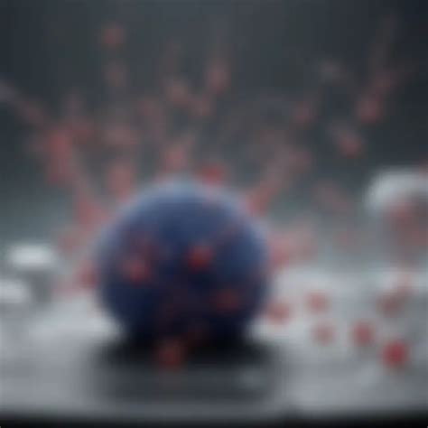 Understanding Highest Antibody Levels In Immunology