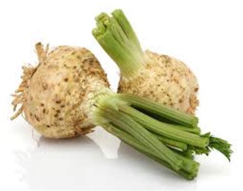 Zeler Praný • Hortisk