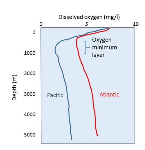 Dissolved Oxygen Graph