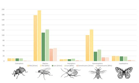 Aim Insect Monitoring — Aim Science