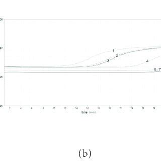 Screening Of Optimal Real Time RPA Primer Probe Combinations A Download Scientific Diagram