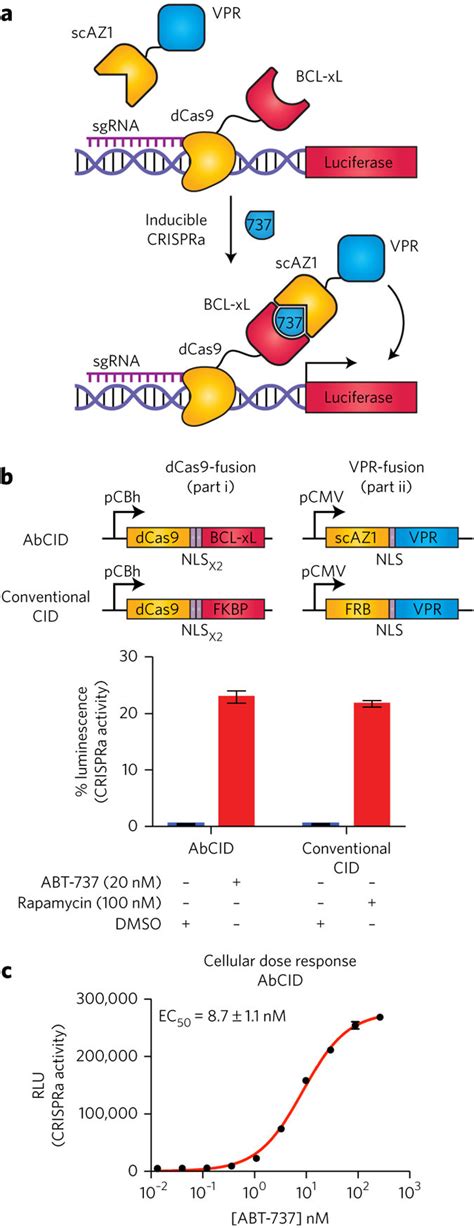 A Single Chain Fab Version Of AZ Can Be Used As An Intracellular AbCID Download Scientific