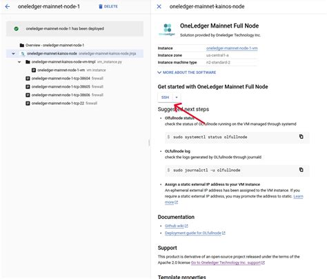 GCP Validator Deployment OneLedger
