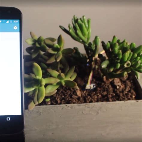 Sprout Modern Indoor Self Watering Planter