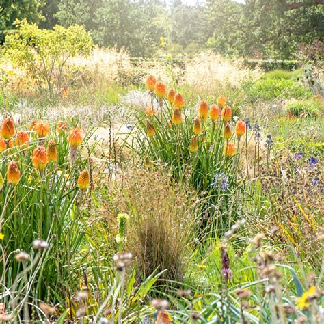 ‘matrix Planting Is The Hot New Garden Border Trend Ideal Home