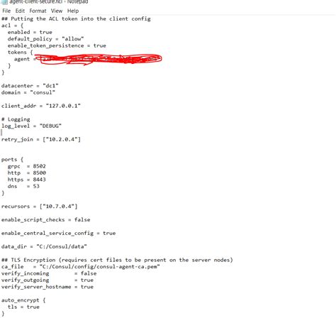 Consul Client Agent Shows Error Check Socket Connection Failed · Issue 15649 · Hashicorpconsul