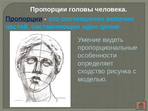 Презентация по ИЗО 6 класс Конструкция головы человека и ее пропорции