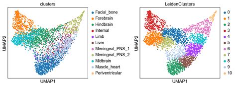 Tutorial 1 Cross Modality Representation Of Spatial Atac Mouse Embryo Samples — Present