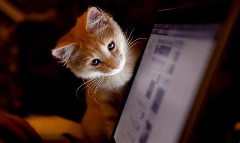 Как в Excel перевести число в тысячи