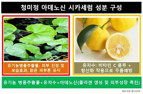 아데노신 시카세럼 후기 효능 부작용 및 장단점 비교 분석 헬스리포트 Health Report