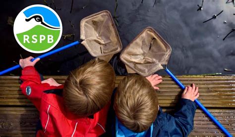 Bug Safari At Rspb Conwy Visit Conwy