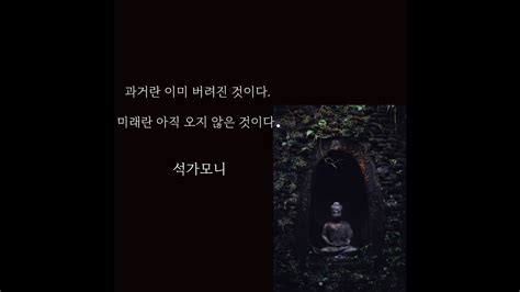 우리는 생각하는 대로 존재한다모든 것은 생각과 함께 시작된다석가모니 명언 석가모니명언 지혜 Youtube