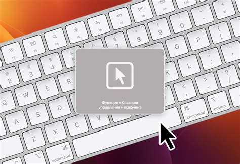 Как включить мышку на макбуке на клавиатуре Компьютерный портал