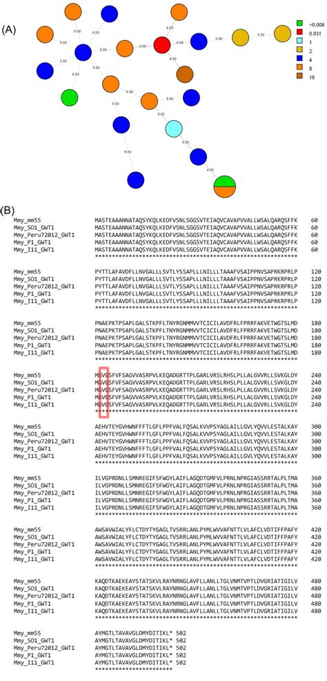 A Minimum Spanning Tree Mst Showing The Genetic Diversity Of The