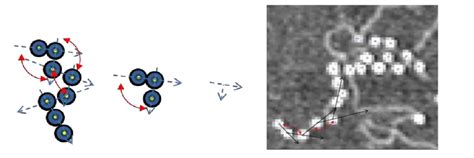 Figure C Schematic Illustration Of The Angle Calculation In The Download Scientific Diagram
