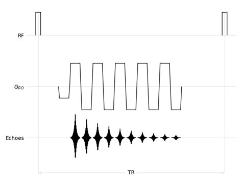 Multi Echo FLASH Tutorial Mrsd Documentation