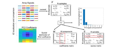 The Muscle Iz Estimation Framework Based On The 2 Nd Principal Download Scientific Diagram