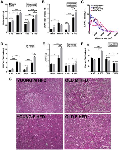 Female Adipose Tissue Has Improved Adaptability And Metabolic Health Compared To Males In Aged