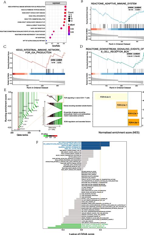 Enrichment Pathway Analysis A Gsea Plots The X Axis Represents The