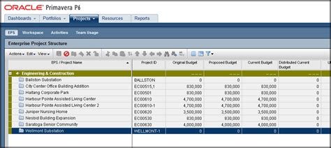 Primavera P6 Eppm Scheduling Privileges With Limited Project Data Privileges