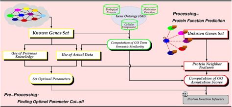 Protein Function Prediction System Proteinprotein Interaction Network Download Scientific