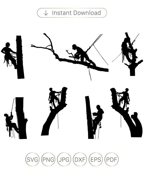 Tree Services SVG Tree Arborist SVG Tree Trimming SVG Tree Climbing