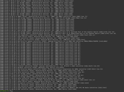 Wich One To Passthrough Rvfio