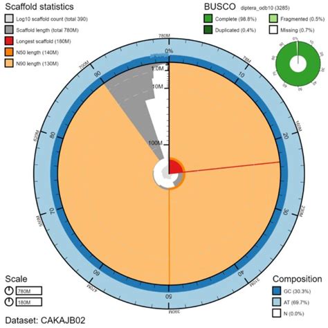 Genome Assembly Of Gymnosoma Rotundatum Idgymrotn12 Gc Coverage Download Scientific Diagram
