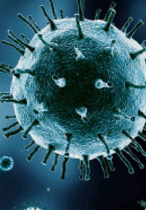 What Is Molecular Virology At Sara Gardner Blog