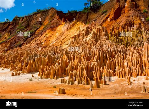 Tsingy Rouges à Madagascar Afrique Formation En Pierre De Latérite Rouge Formé Par Lérosion