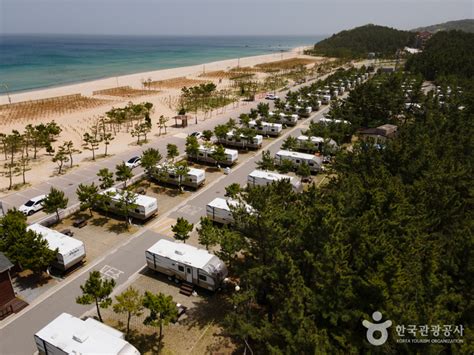 강원도 동해시 동해망상오토캠핑리조트and망상해변한옥마을