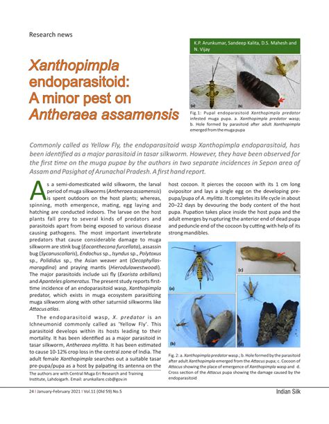 Pdf Xanthopimpla Endoparasitoid A Minor Pest On Antheraea Assamensis