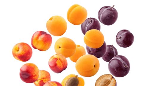 Stone Fruit Crop Growing Solutions Miller Chemical